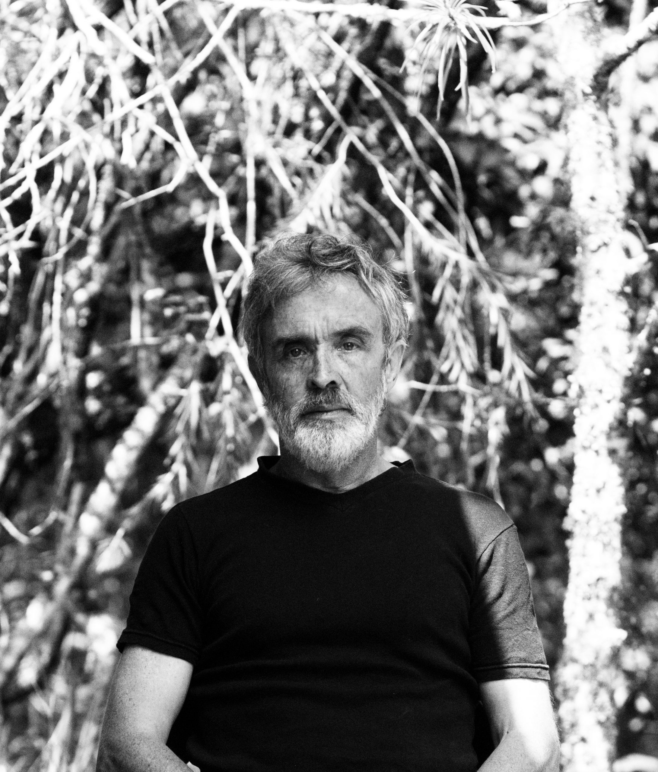 El retorno a la luz de Cristóbal von Rothkirch - El Unicornio