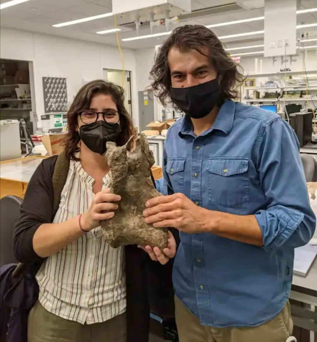 La Serranía del Perijá esconde épicos secretos - El Unicornio